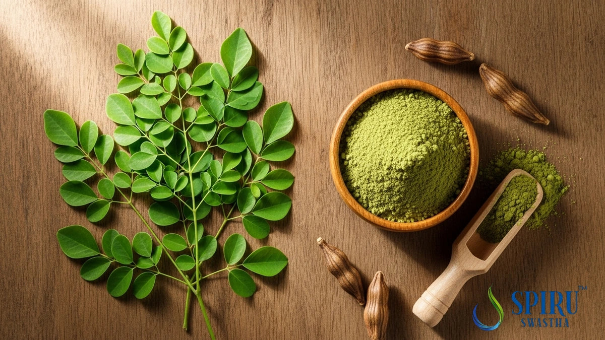 Unlocking the Power of Moringa: More Than Just a Health Fad – Spiru Swastha