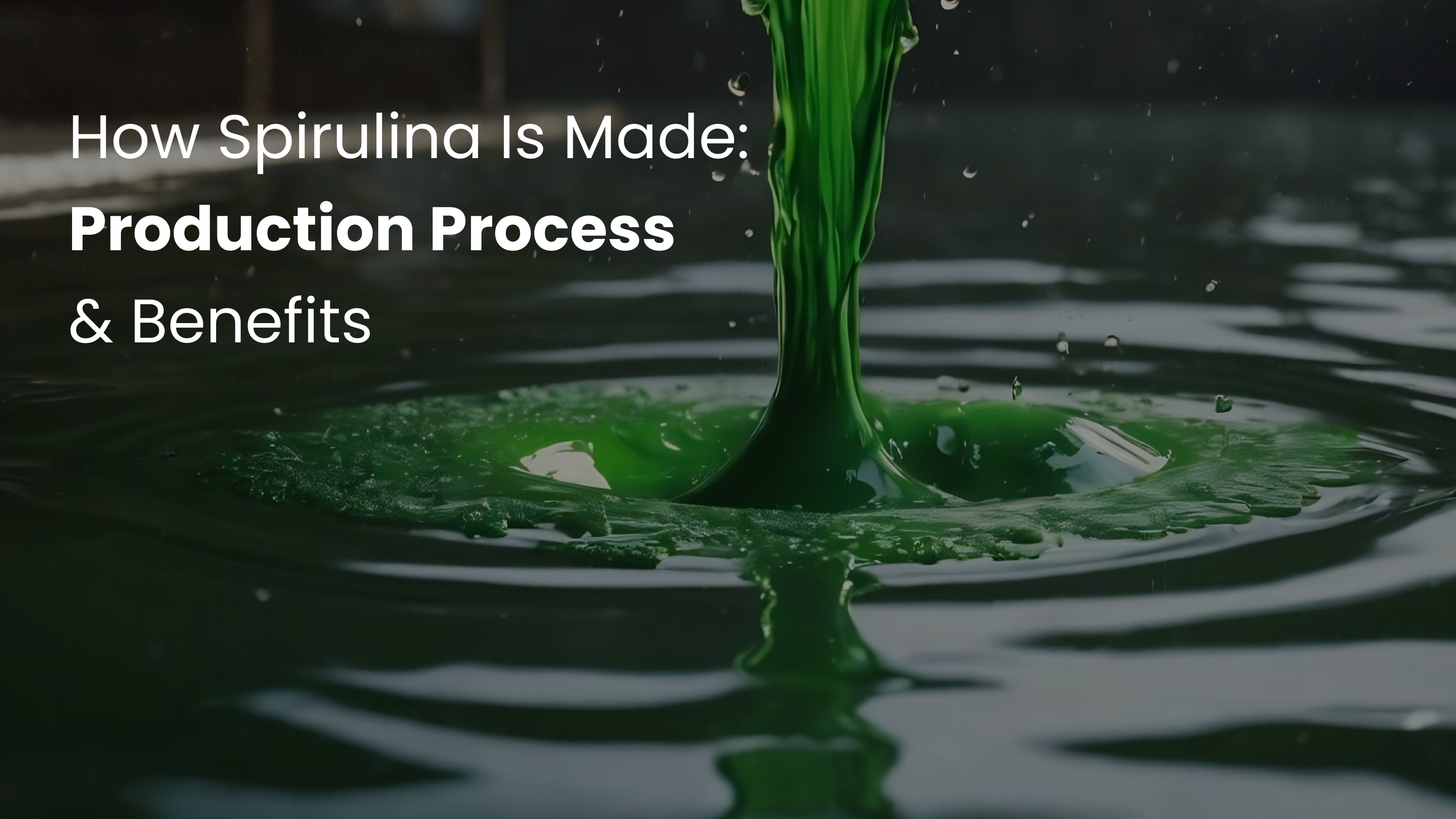 How Spirulina Is Made: Production Process & Benefits – Spiru Swastha
